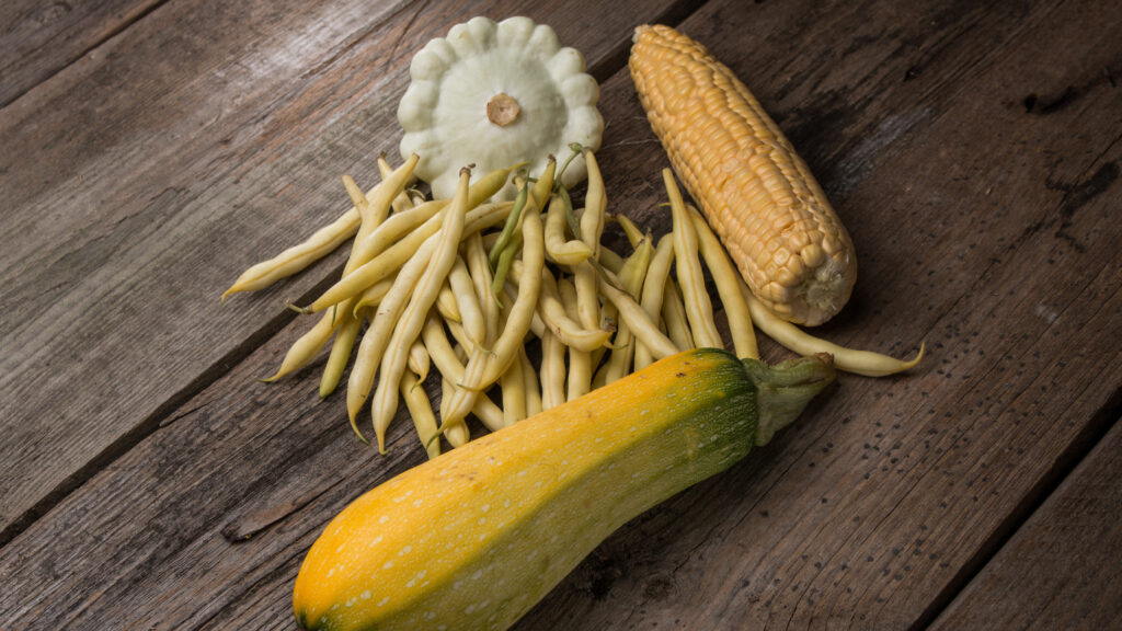 New dietary guidelines could take cue from Native American diet| STAT ...